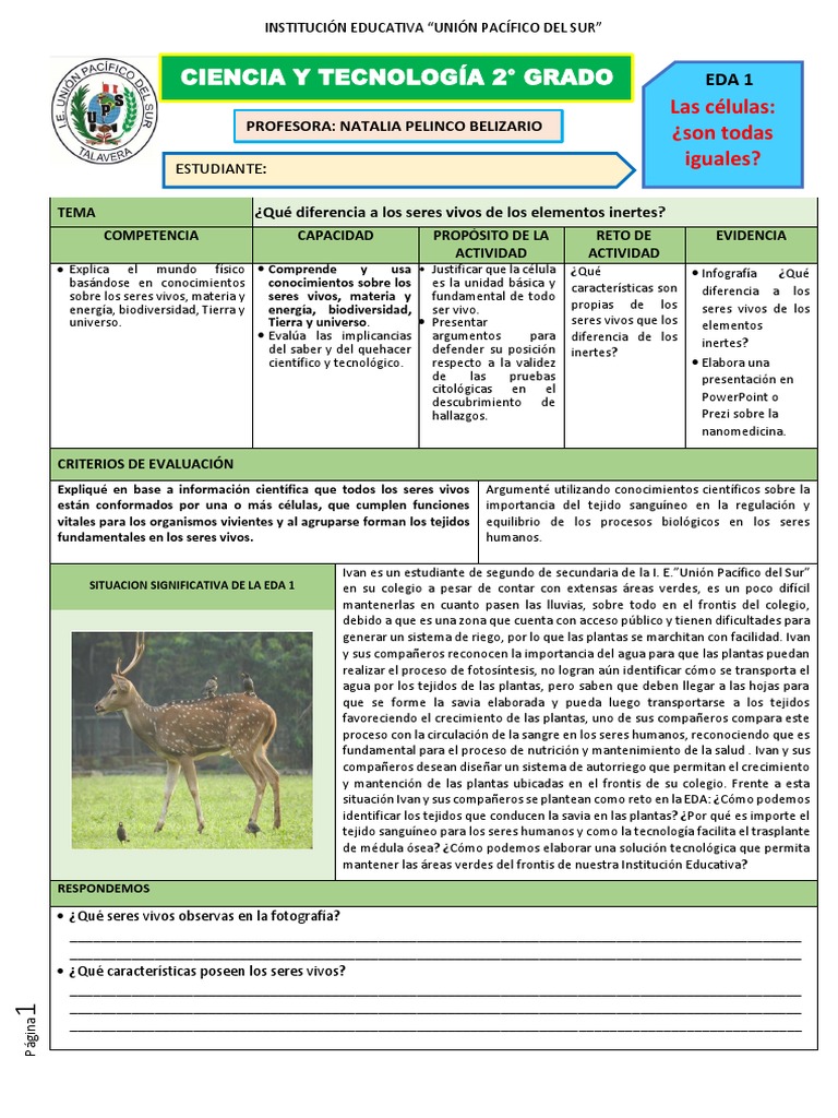 CT 2° EDA1 s1 EXPLICA Qué Diferencia A Los Seres Vivos de Los Elementos ...