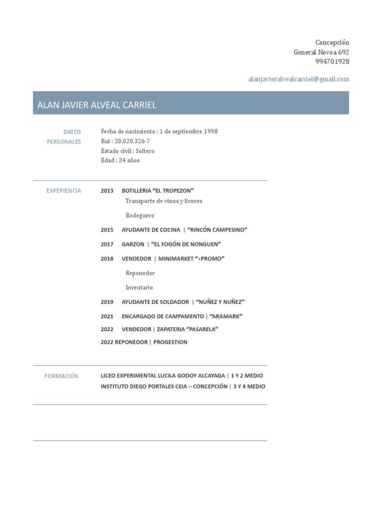 Curriculum Alan Nuevo | PDF