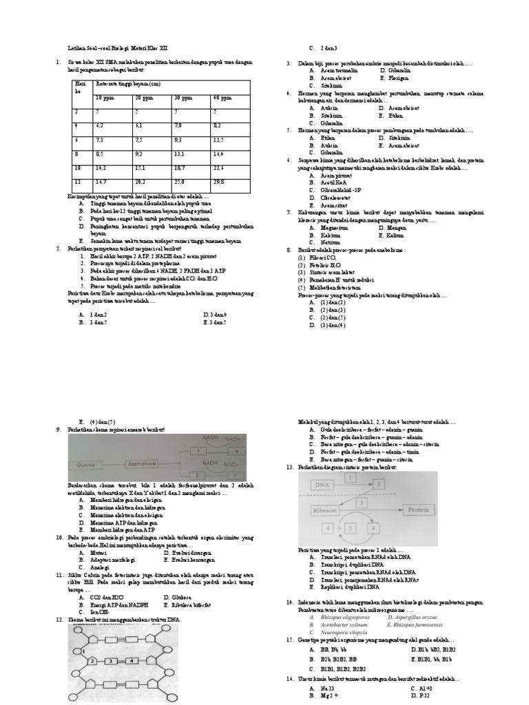 Latihan Soal Biologi Klas XII | PDF | Sains & Matematika