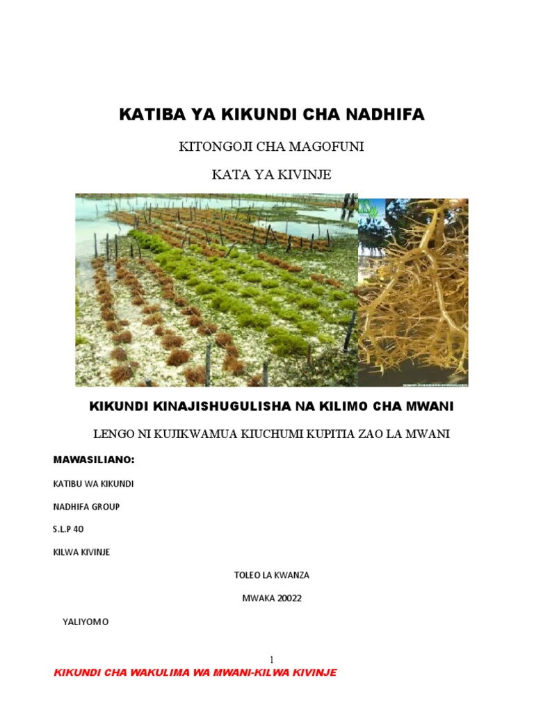 Katiba Ya Kikundi Cha Nadhifa | PDF