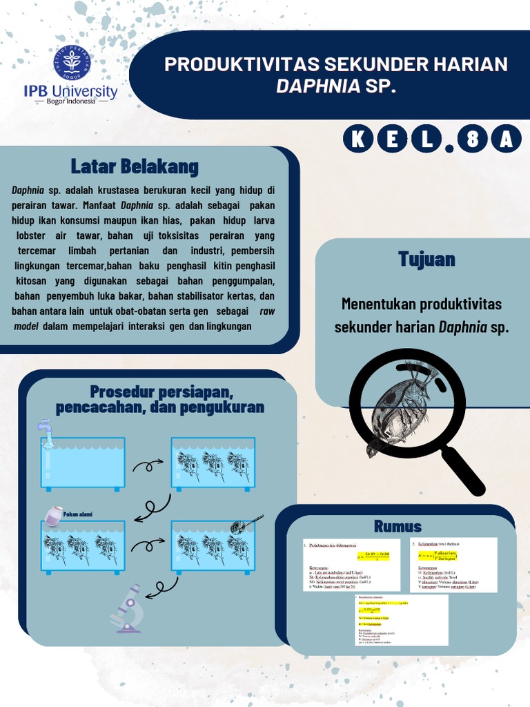 8A_Draft Laporan PS Daphnia | PDF
