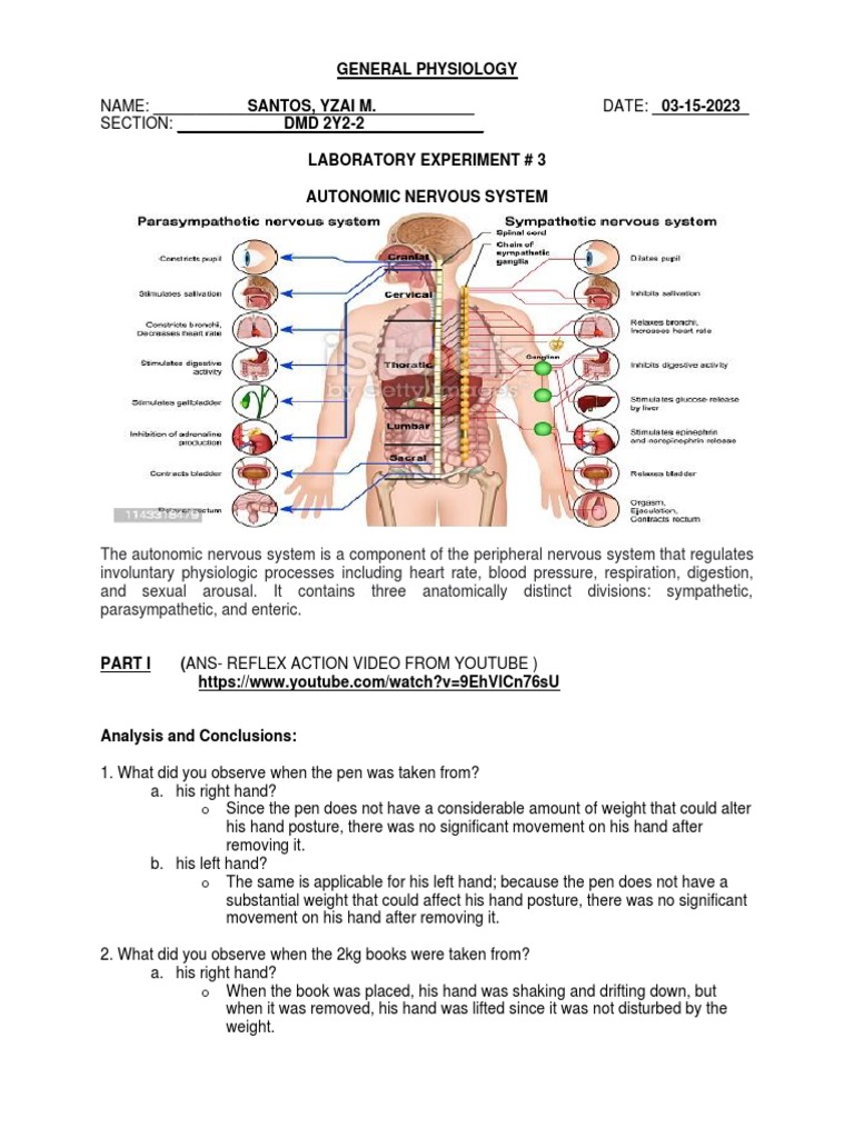 Ans Expt #3 Santos, Yzai M | PDF | Autonomic Nervous System | Nervous System
