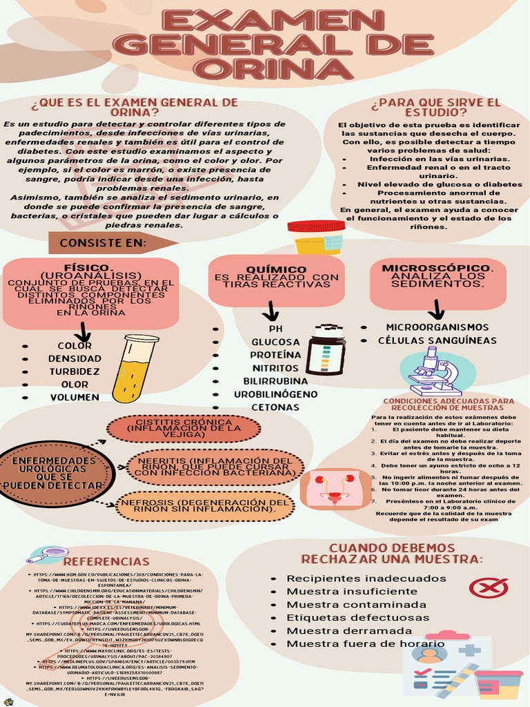 ¿Que Es El Examen General de Orina? ¿Para Que Sirve El Estudio? | PDF ...