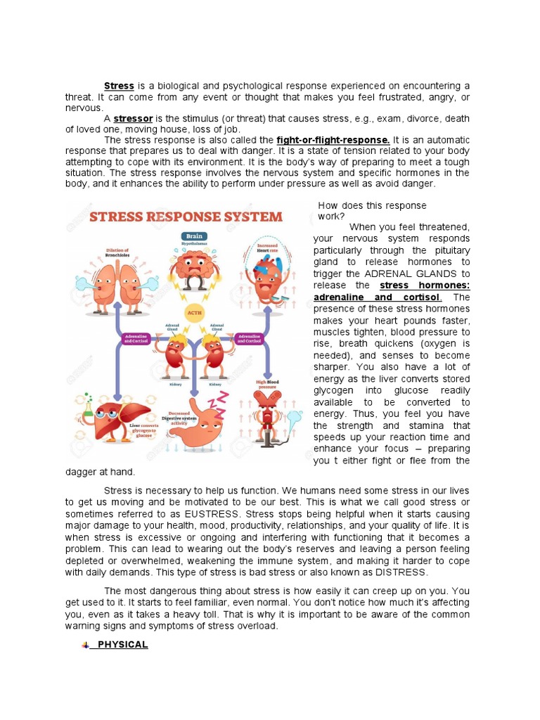 Stress Outline | PDF | Fight Or Flight Response | Stress (Biology)