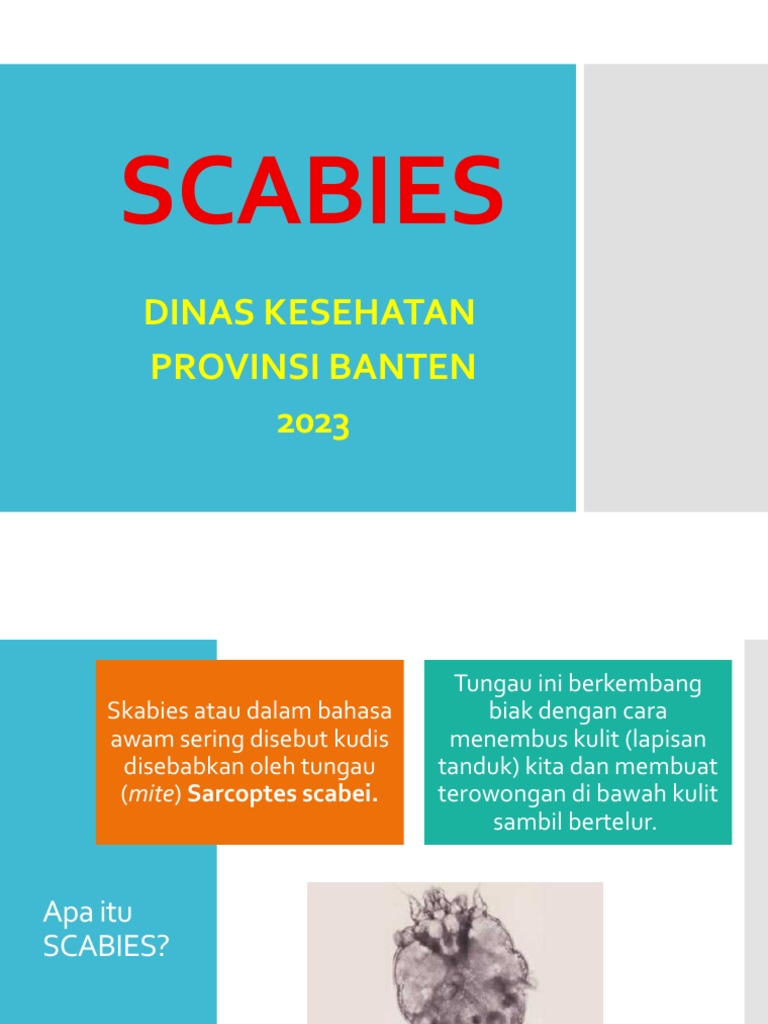 Scabies Ppt.1 | PDF