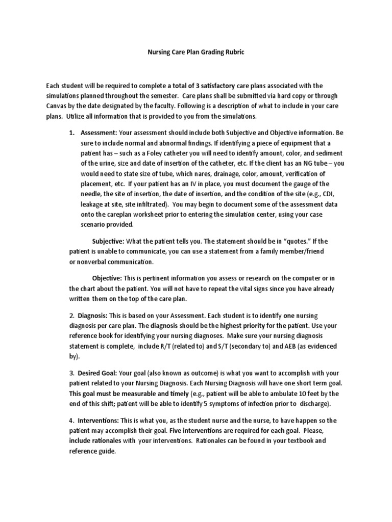 Level - One - Care - Plan - Grading - Rubric 11 - 13 - 15 | PDF ...