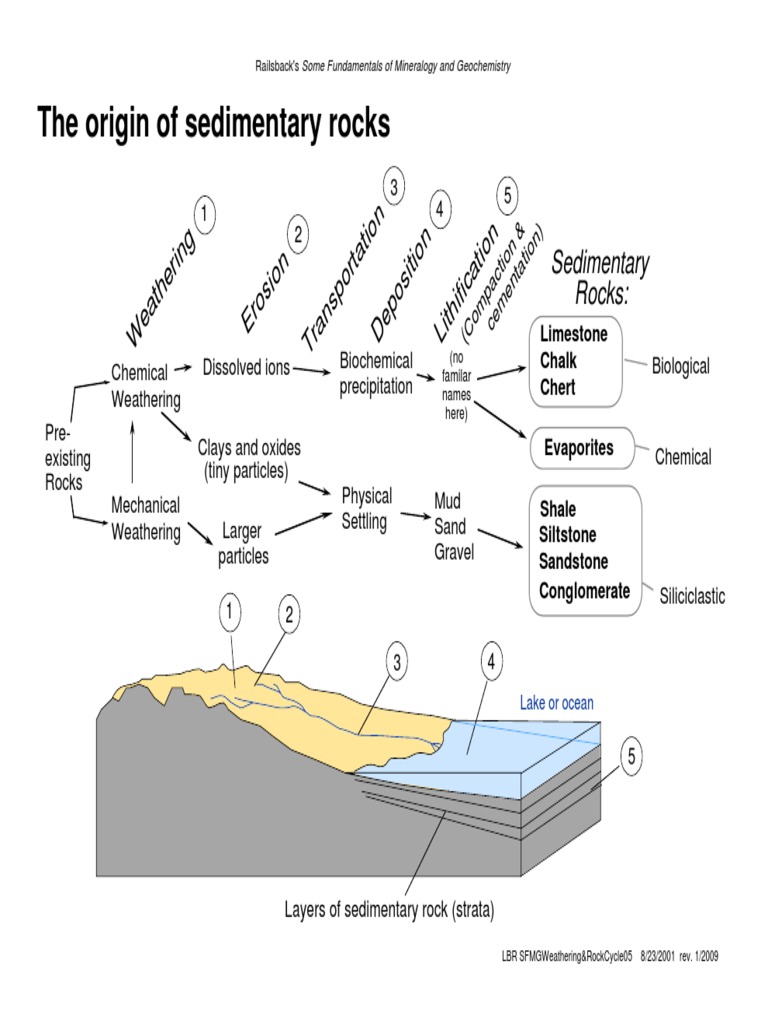 SFMGWeathering&Rock Cycle 05 | PDF | Sedimentary Rock | Rock (Geology)