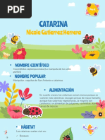 Ciclo de Vida y Características de Catarinas | PDF | Coccinellidae | Insectos