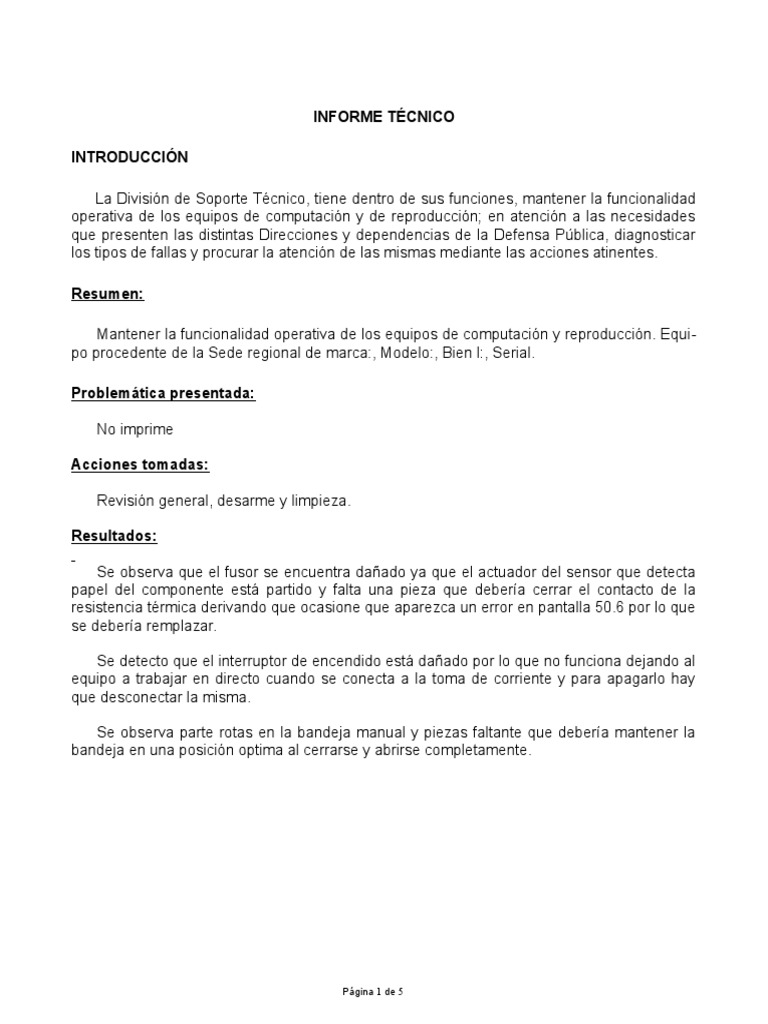 INFORME TECNICO Modelo | PDF
