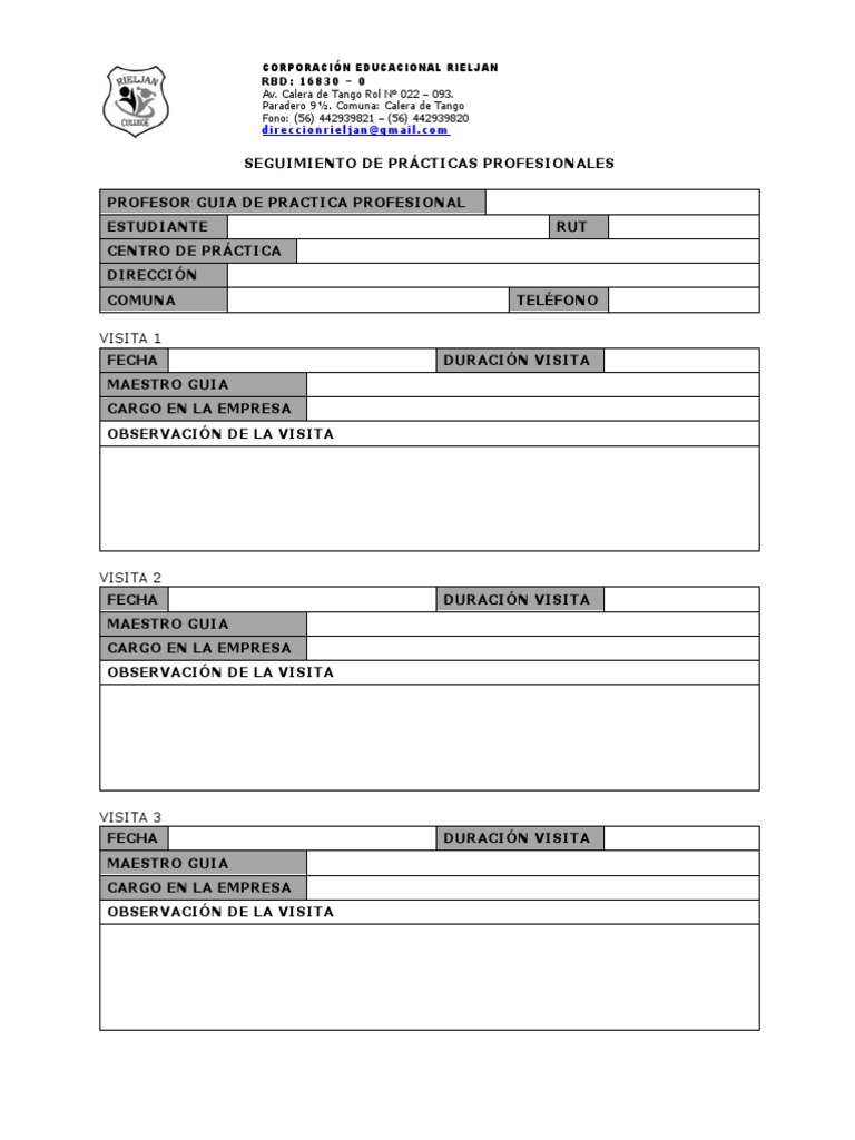 Seguimiento Práctica Profesionales Pdf