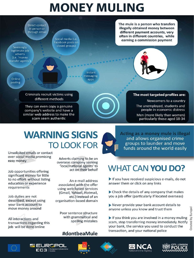 Money Mule Flyer | PDF