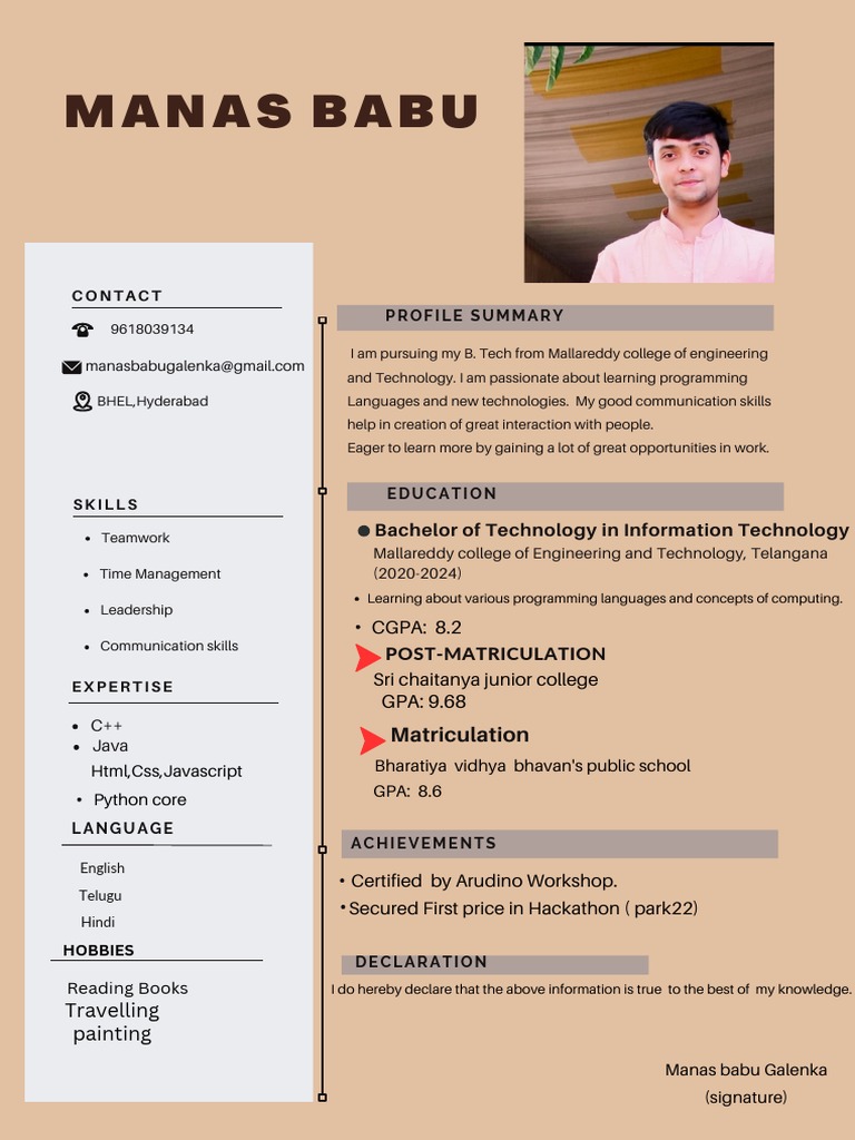 Camel Minimalist Academic Resume | PDF