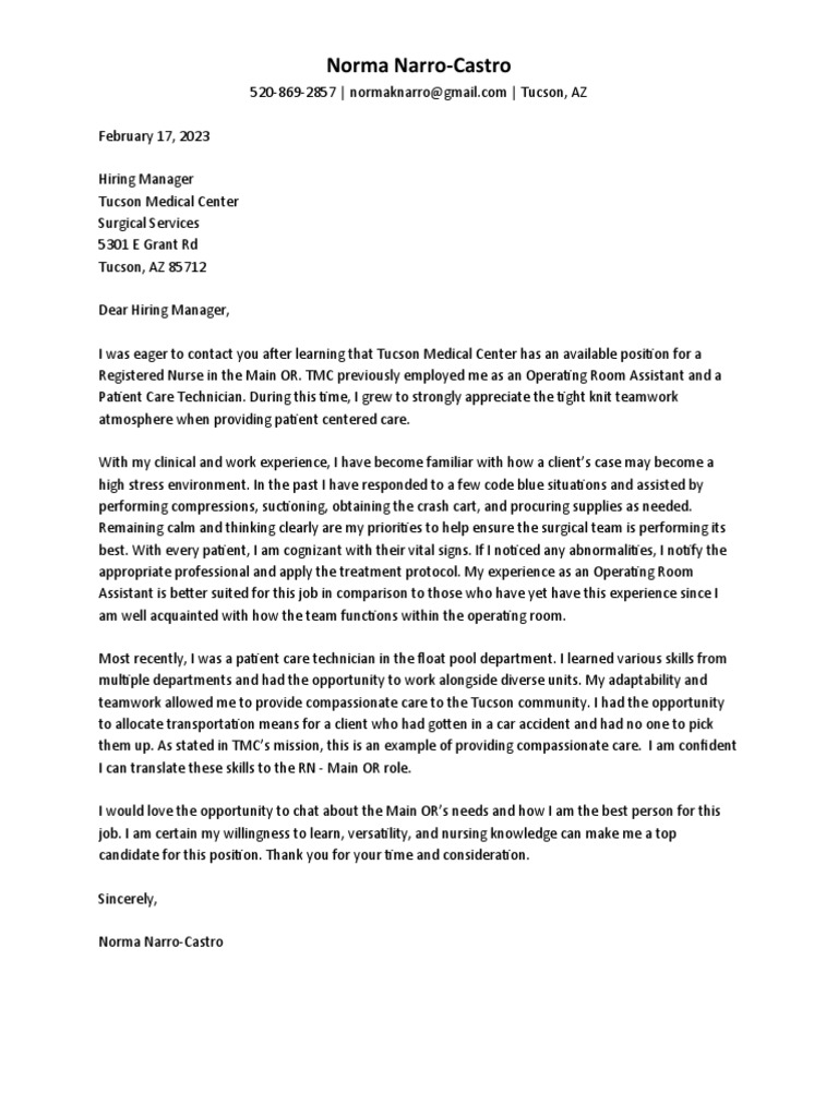 Narro-Castro Norma CV Final | PDF