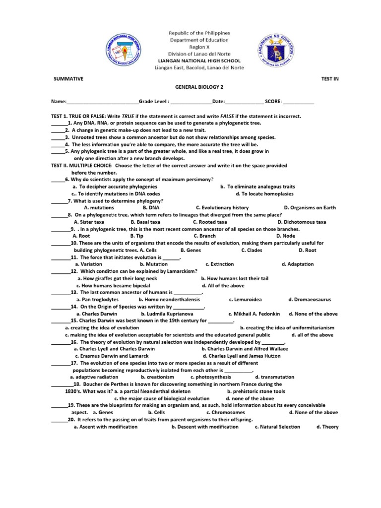 Summative Test In General Biology 2 Pdf Phylogenetic Tree Evolution