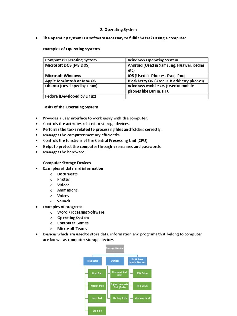 Storage Devices | PDF | Operating System | Floppy Disk