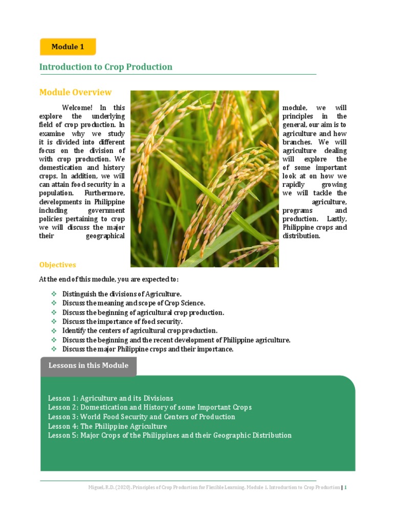 CS601 Module 1 | PDF | Agriculture | Food Security