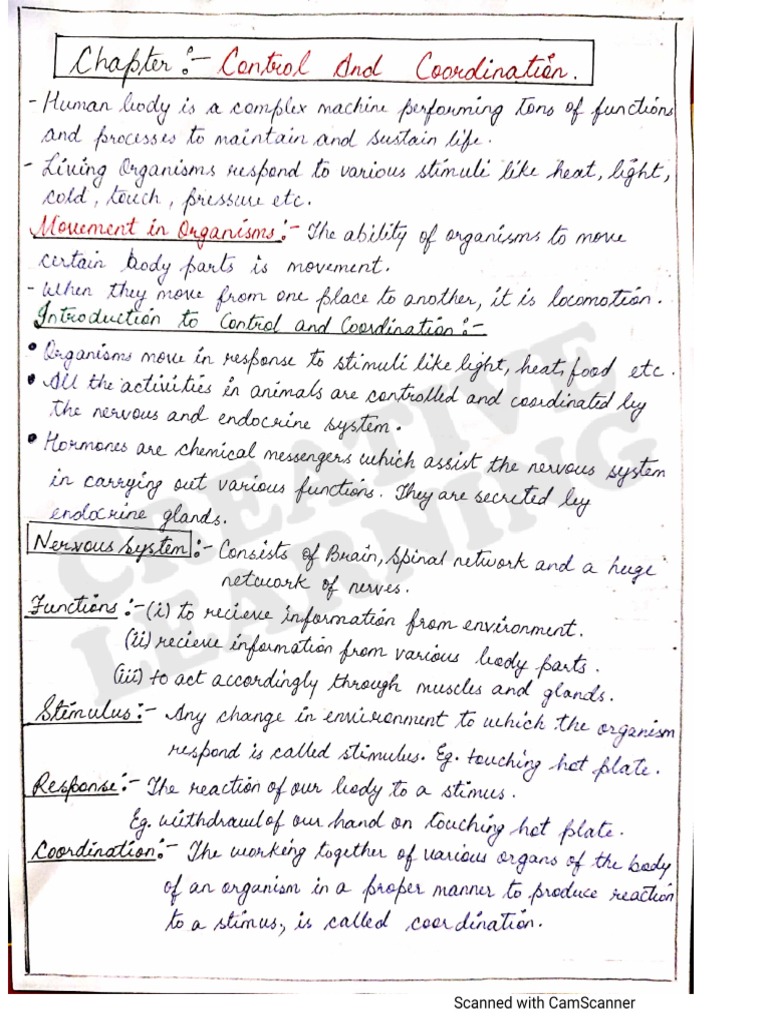 Chapter 7 Control and Coordination | PDF