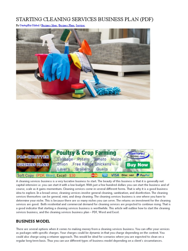 Starting Cleaning Services Business Plan PDF | PDF | Business Plan ...
