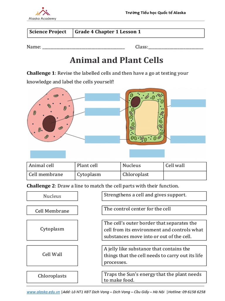 Grade 4 Unti A Chapter 1 Lesson 1 Project | PDF