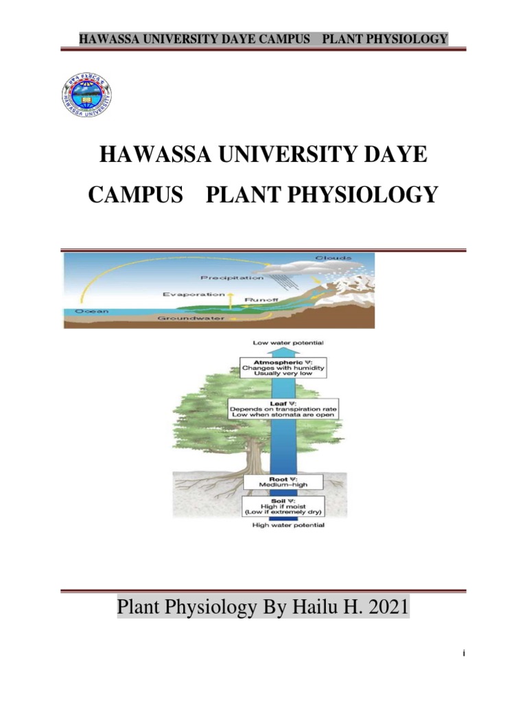 Hawassa University Daye Campus Plant Physiology | PDF | Plant ...