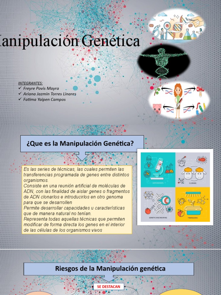 La Manipulacion Genetica-Biologia | PDF | Ingeniería genética | Genética