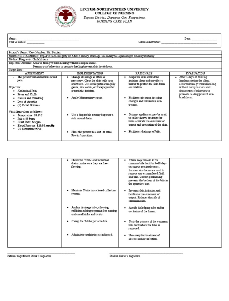 NCP Impaired Skin Integrity | PDF | Wound | Health Sciences
