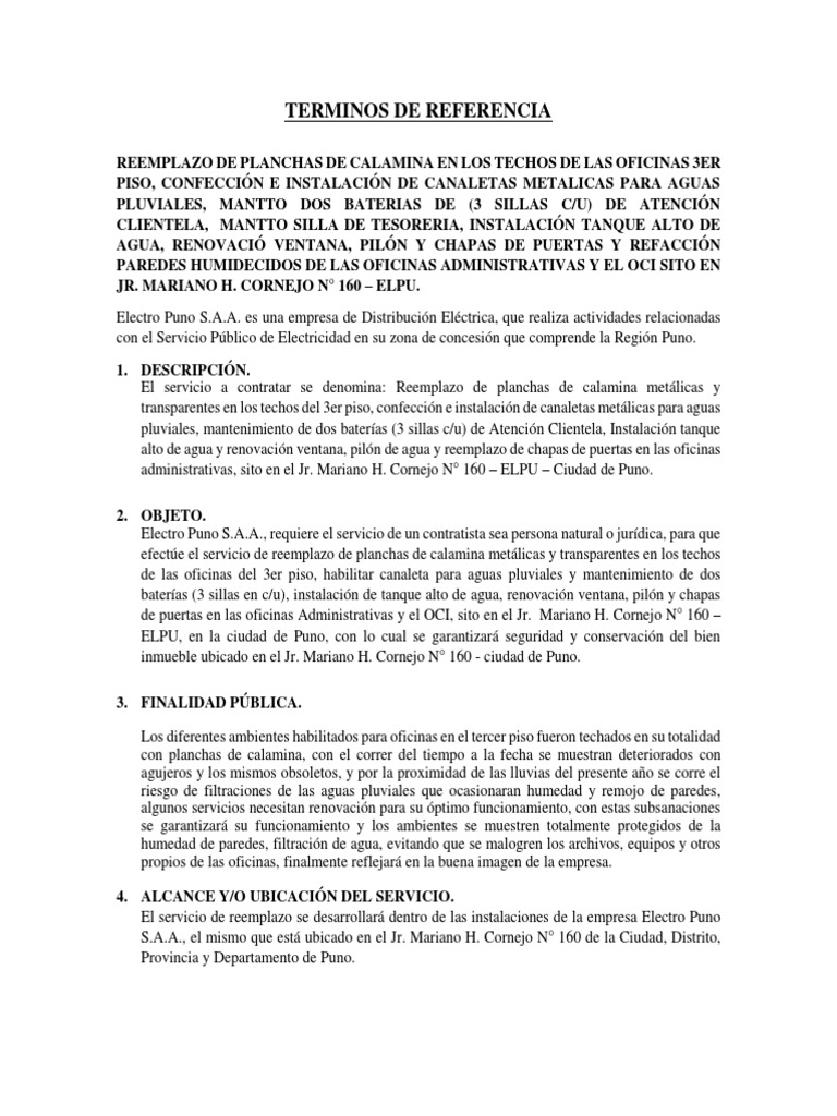 TERMINOS DE REFERENCIA (TDR) REEMPLAZO CALAMINAS (Erika) Ofic | PDF