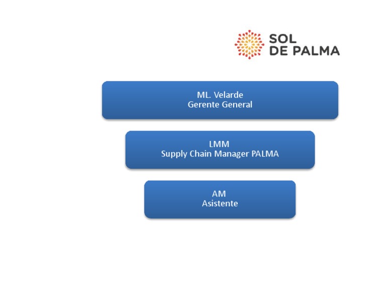 ML. Velarde Gerente General | PDF
