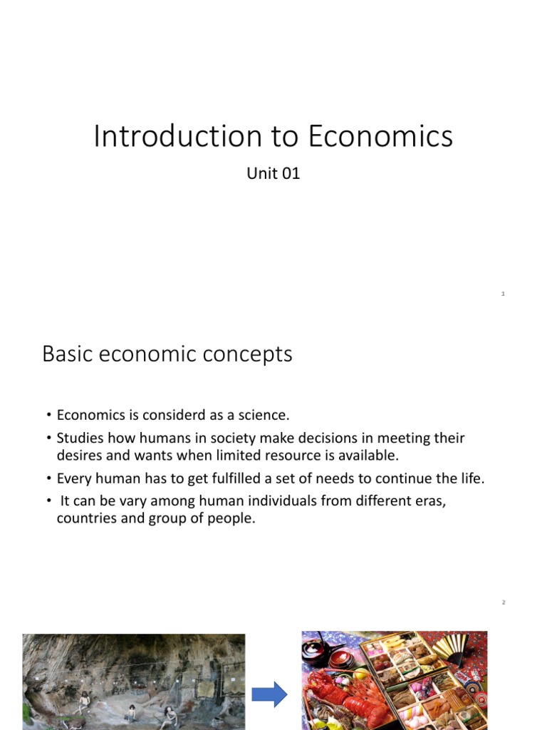 Introduction to Basic Economics Concepts | PDF