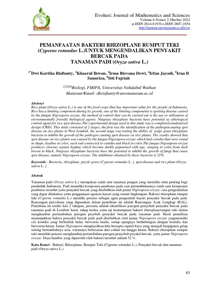 Rhizoplane Bacteria for Rice Disease Control | PDF | Fungus | Organisms