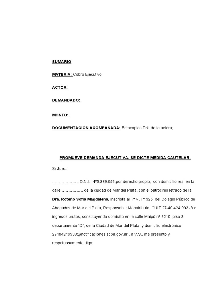 Modelo Demanda Ejecutiva CON PATROCINIO LETRADO | PDF | Mandato ...