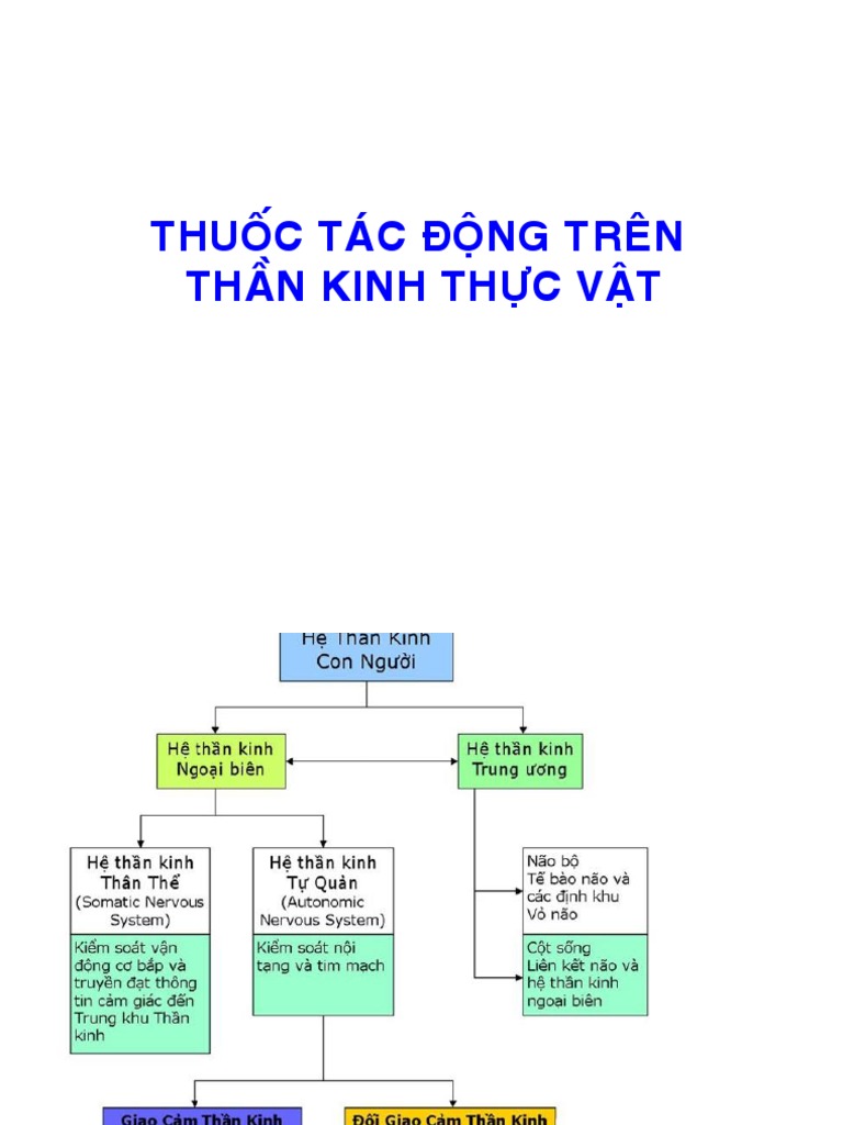 Tktv. CQ - 2021-SV | PDF
