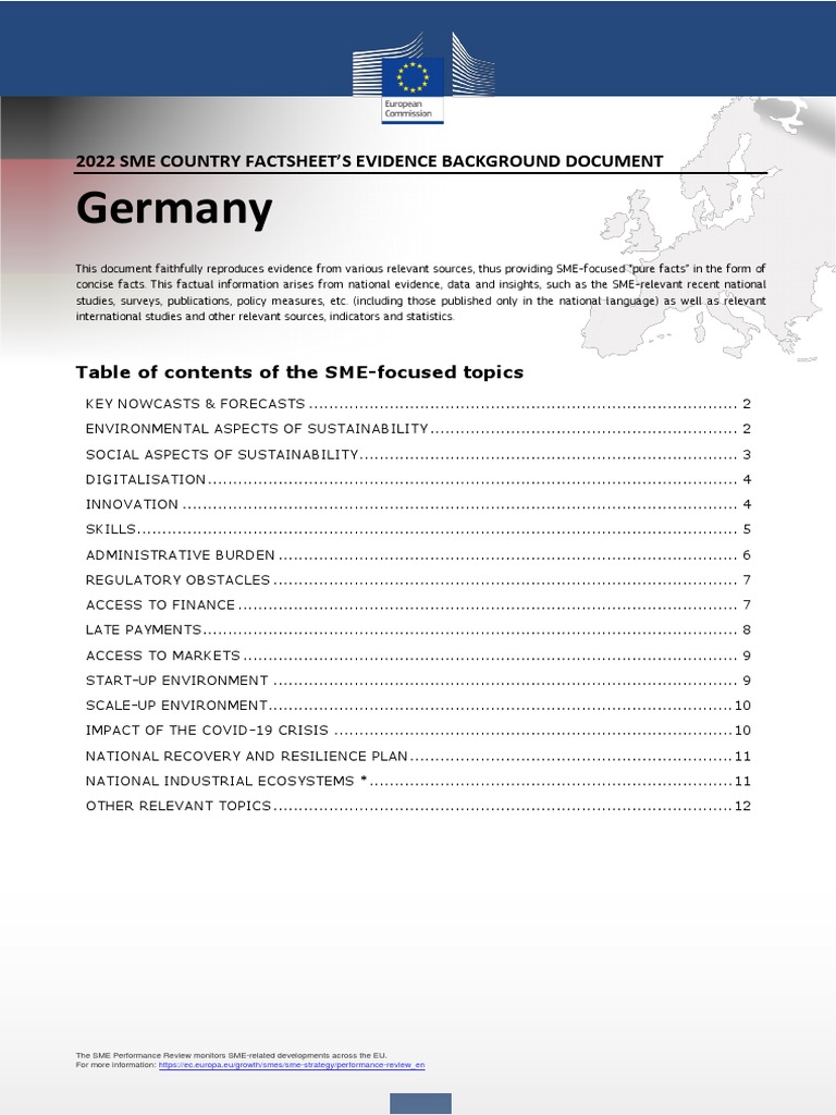 Germany - Background Document of The SME Fact Sheet 2022 | PDF | Small ...