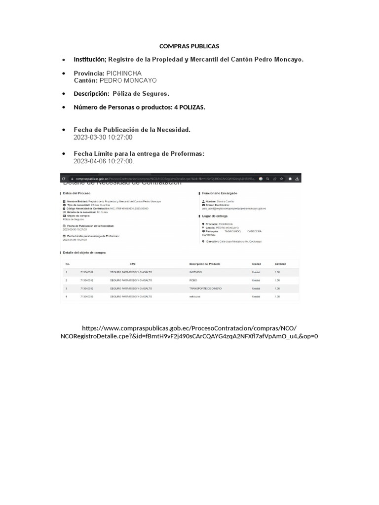 Formato de Compras Publicas | PDF