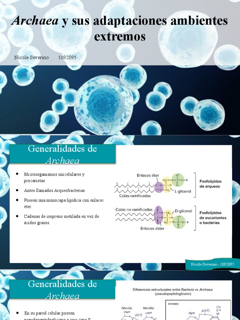 Arqueas y Adaptaciones A Ambientes Extremos | PDF | Archaea | Las bacterias