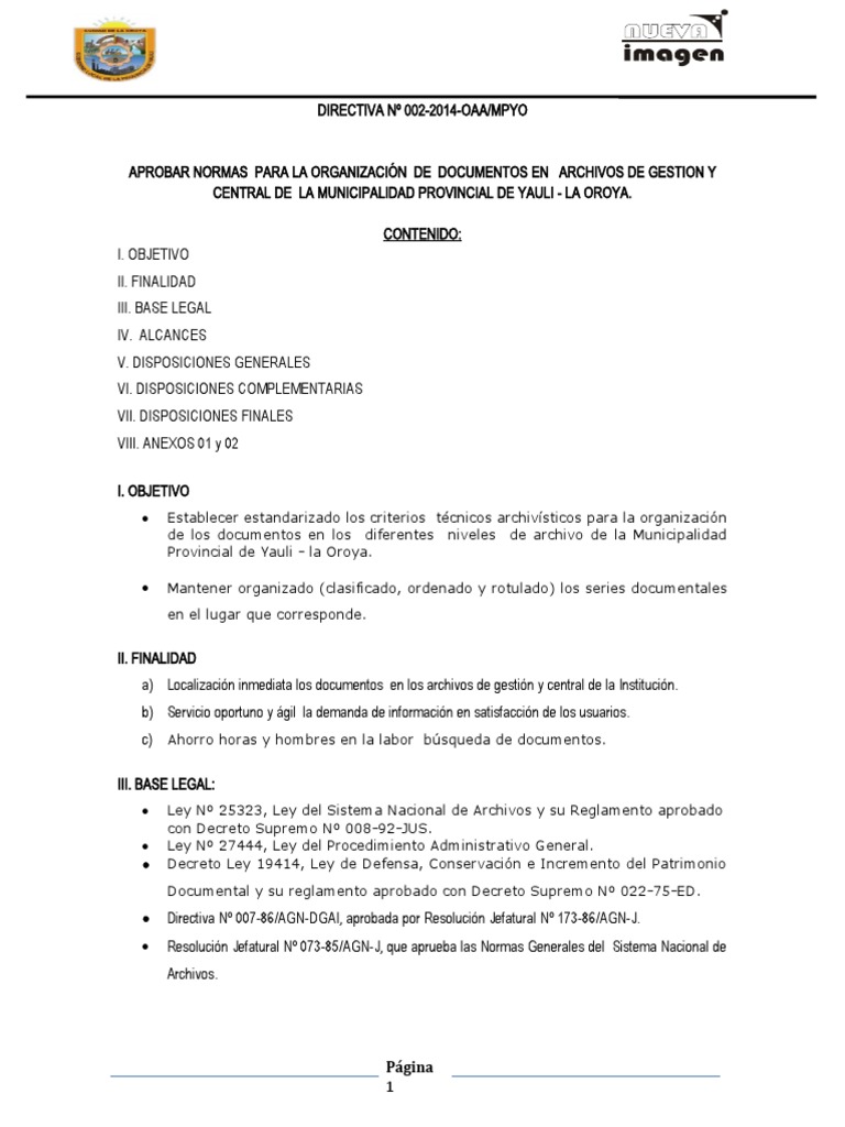 Directiva de Organizacion | PDF | Regulación