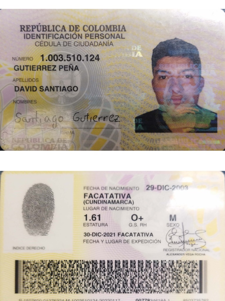 Cédula de David Santiago Gutiérrez | PDF