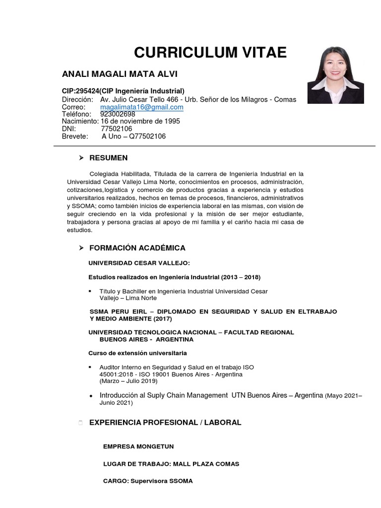 CV Anali Mata Alvi 2023 | PDF | Informática | Business