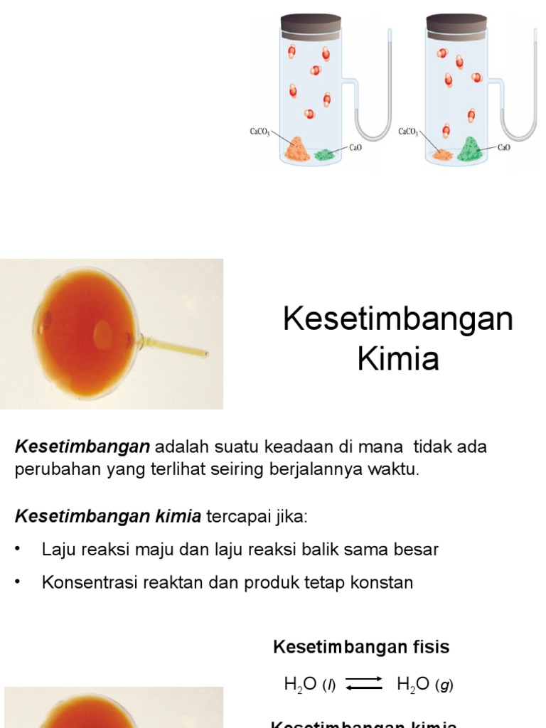 Kesetimbangan Kimia Pdf