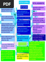 Tripela Reglas Basicas | PDF