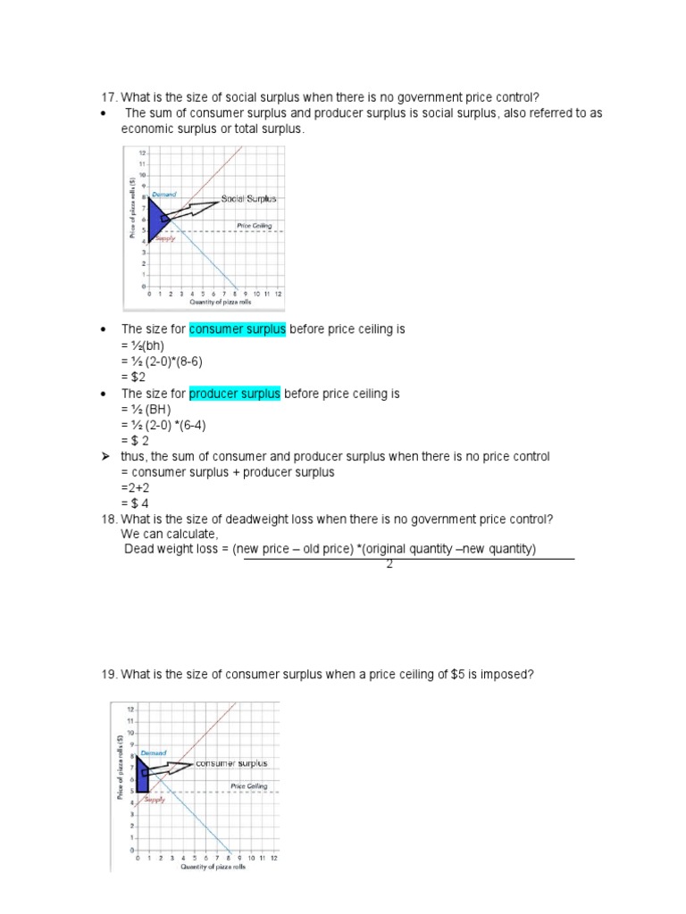 ECONOMICS | PDF | Economic Surplus | Microeconomics