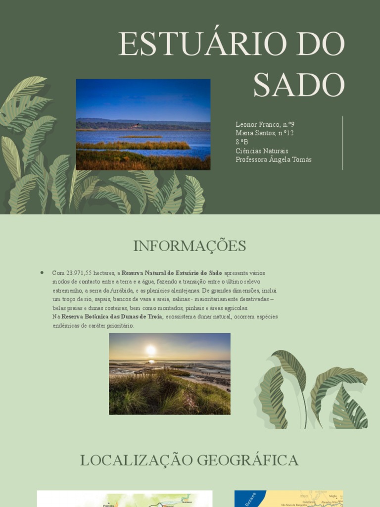 Biodiversidade do Estuário do Sado | PDF