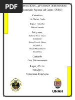 Teoría de La Utilidad Cardinal y Ordinal | PDF | Utilidad | Los ...