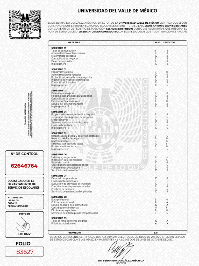 Tiras Materias Uvm | PDF | Economias | Business