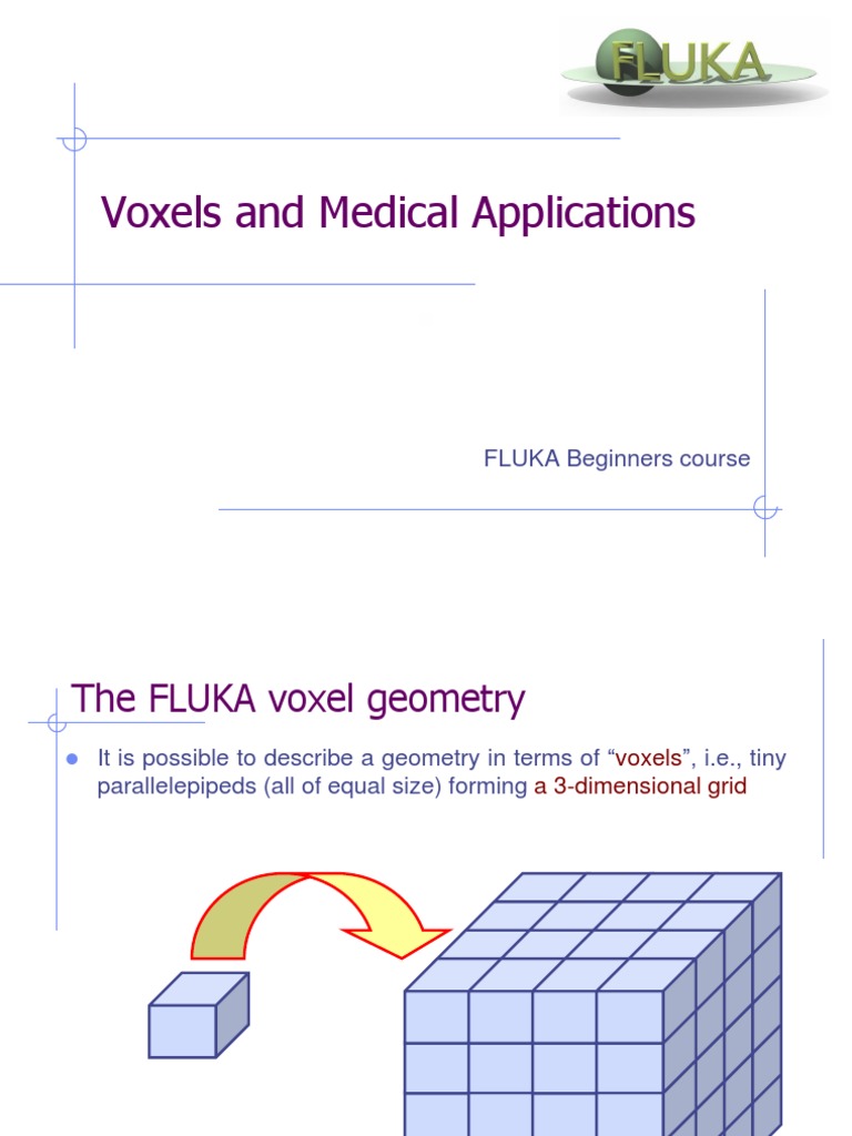 Voxels and Medical Applications: FLUKA Beginners Course | PDF | Voxel | Ct Scan