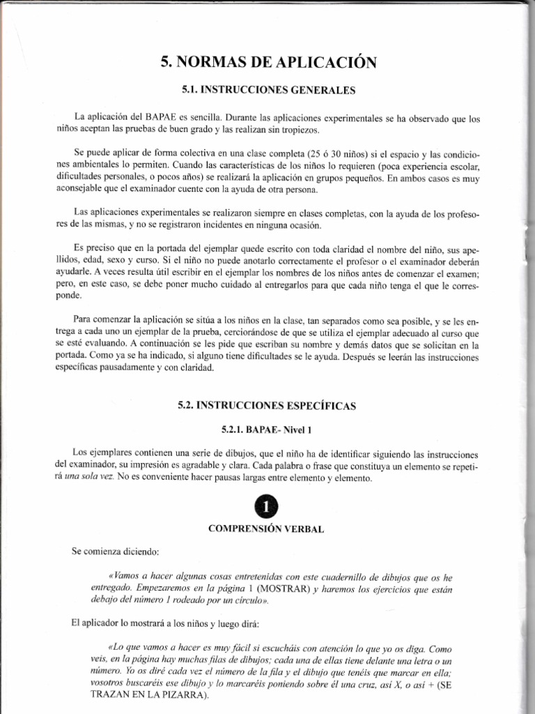 Instrucciones para la aplicación del BAPAE | PDF