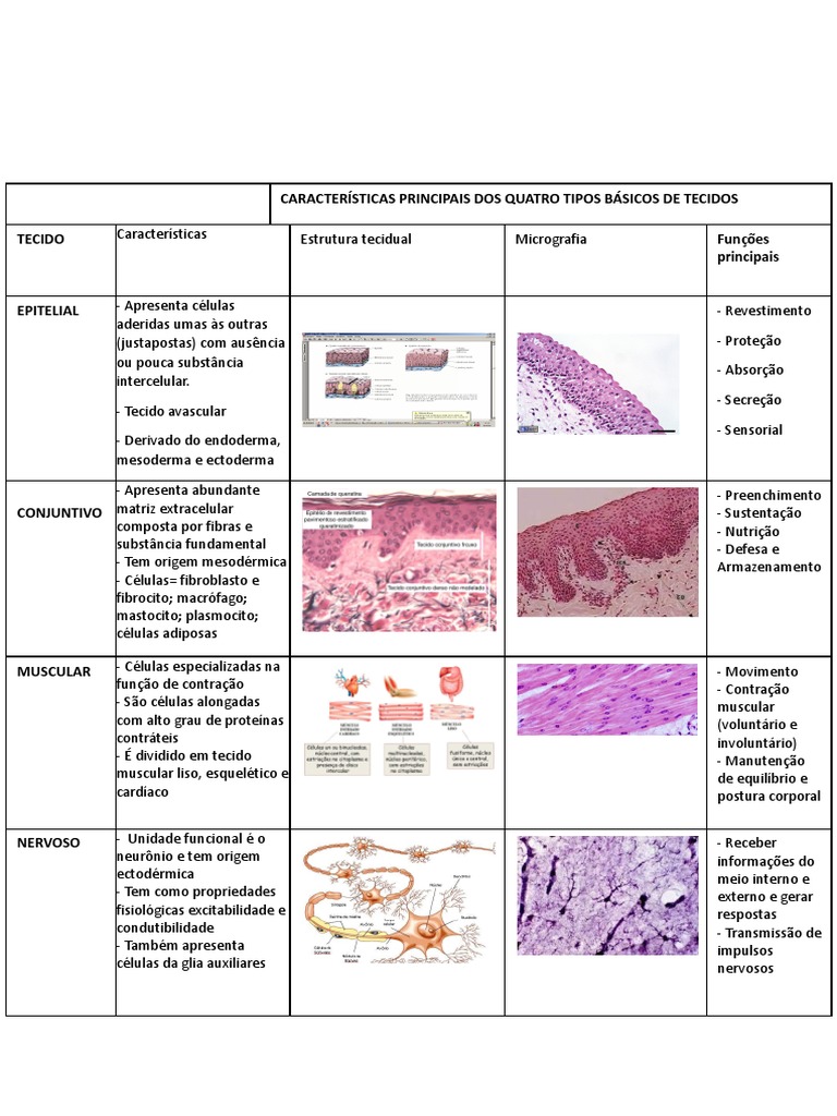 Ejemplo De Plan De Clase De Primaria/modelo De Descri O De Cargos