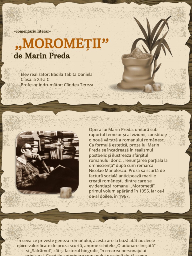 Moromeții Eseu | PDF