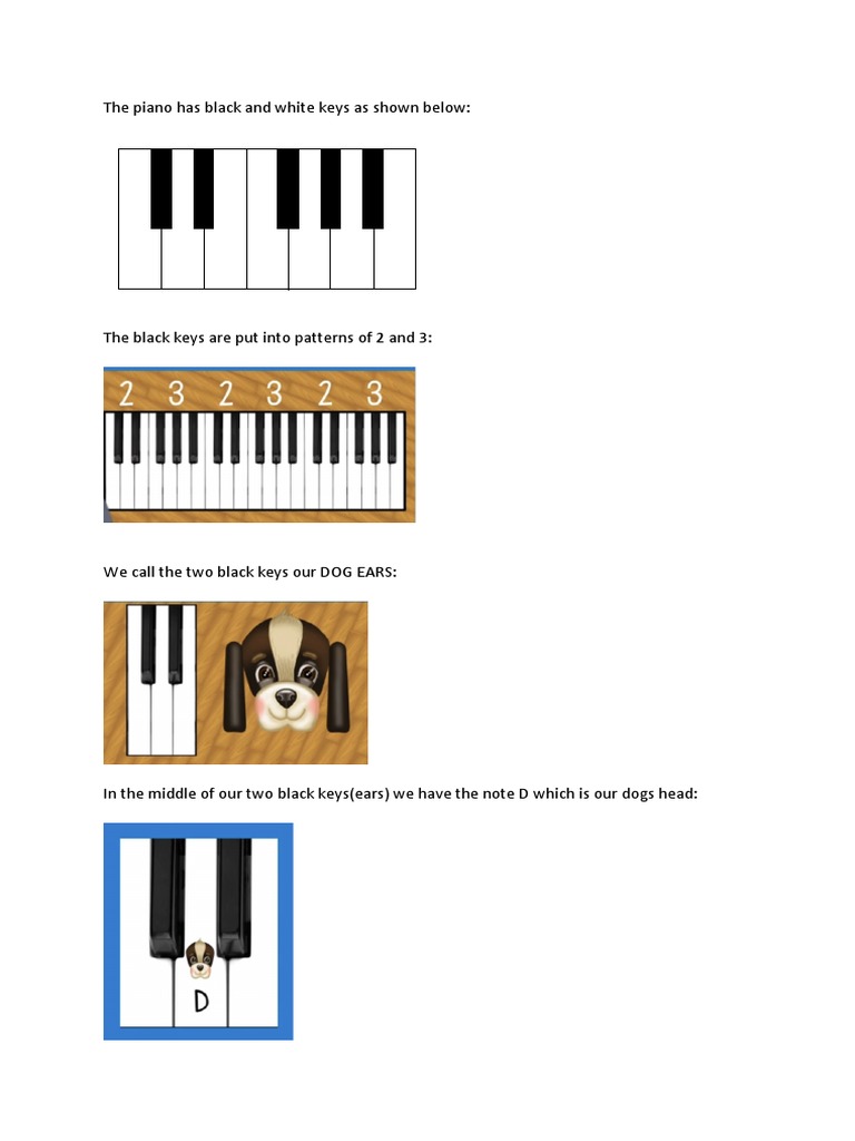 Piano Basics | PDF