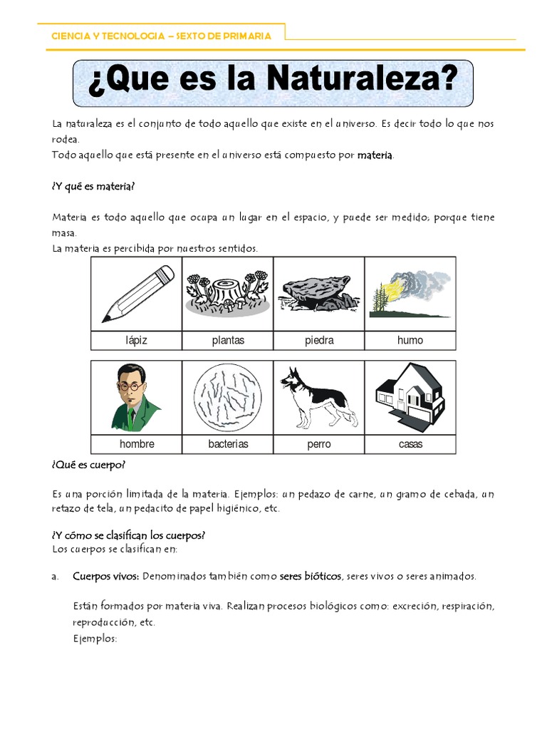 Ficha Que Es La Naturaleza para Sexto | PDF | Importar | Naturaleza